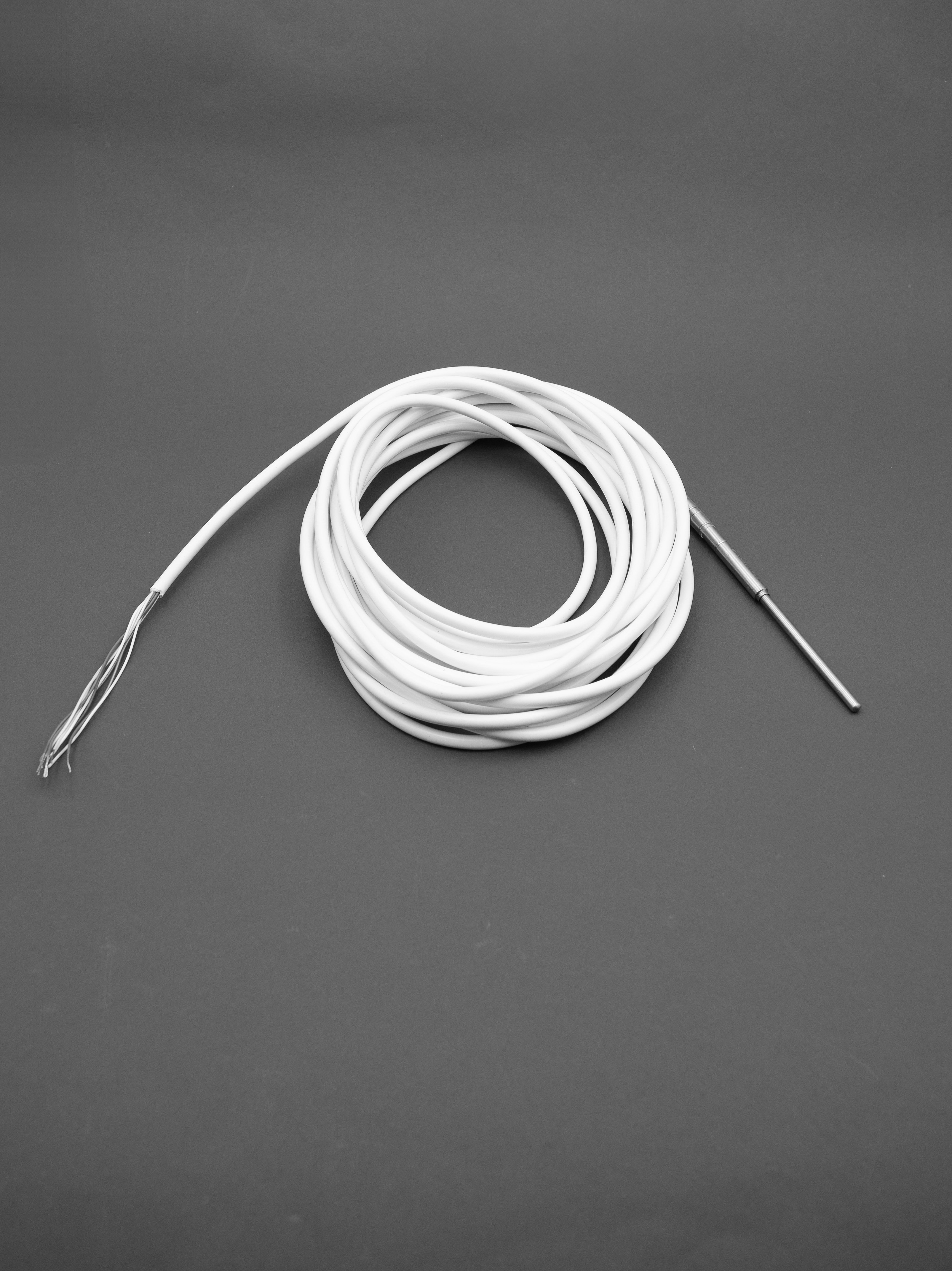 Flexible RTD Pt100, 8-conductor cable, 7 m, sheath 67 mm